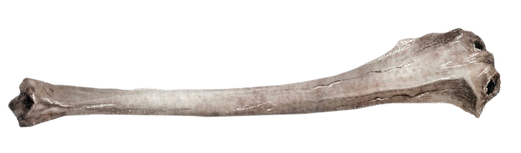 Unit I – BfB Resources